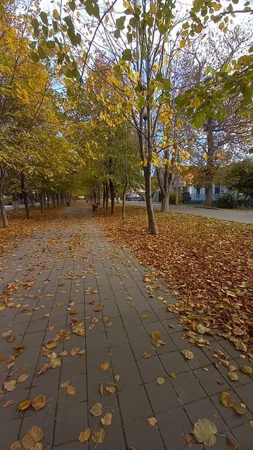 Крым красивые виды осенней аллеи Анапа