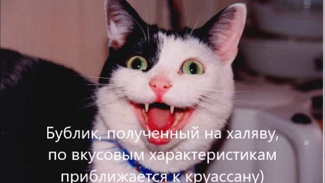 Анекдотцы - 9 🤣