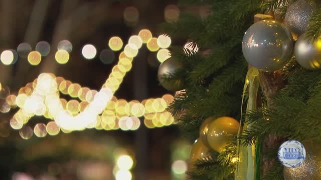 ⛄Новогодняя сказка в Севастополе | Программа "Утро нового дня" (Севастополь, 29 декабря 2025 г.)