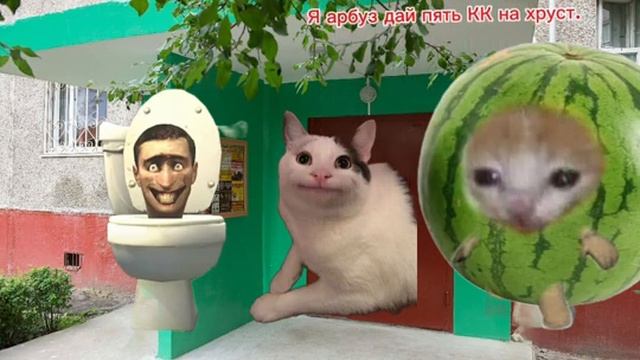 Слова мема геги на асфальте.Часть 1.