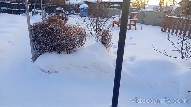 РАНЕНЬКО 1 ЯНВАРЯ..