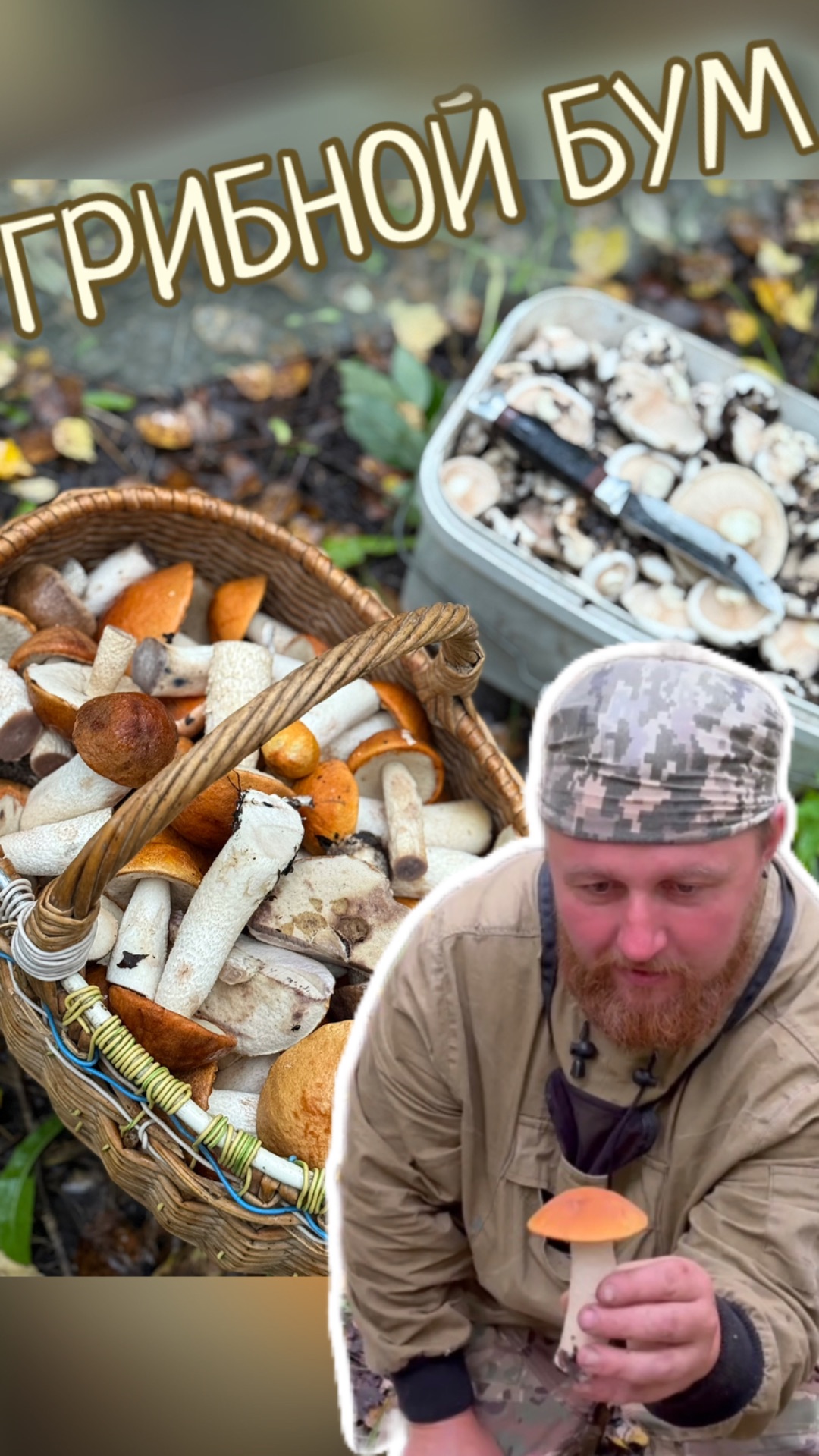 Море грибов.