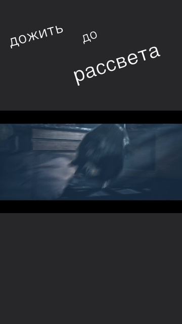 дожить до рассвета