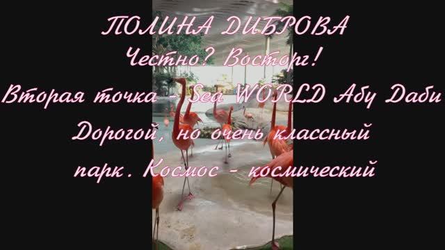 ПОЛИНА ДИБРОВА! Вторая точка - Sea WORLD Абу Даби Дорогой, но очень классный парк. Космос !