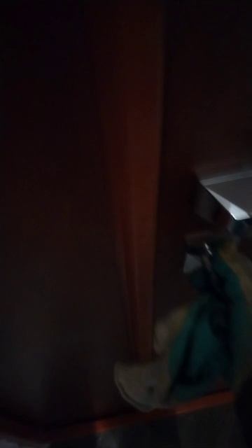 Двухстворчатая дверь