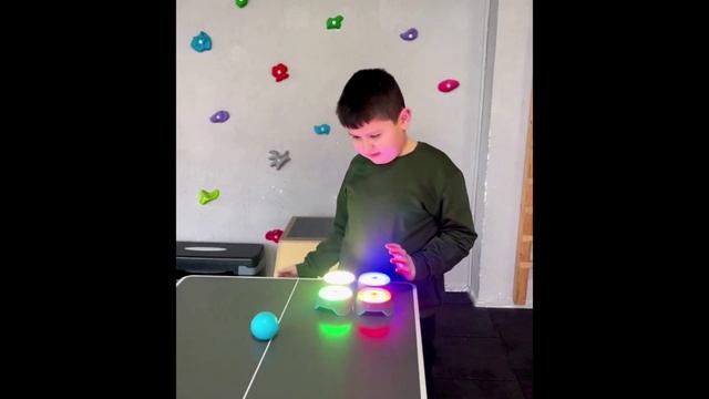 Развитие когнитивных способностей и реакции