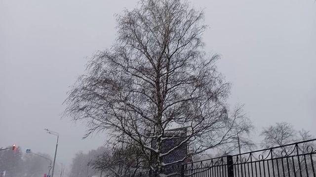 Давно такого не было!70 лет!рекорд метеорологический! В городе  бушует циклон "Френсис"