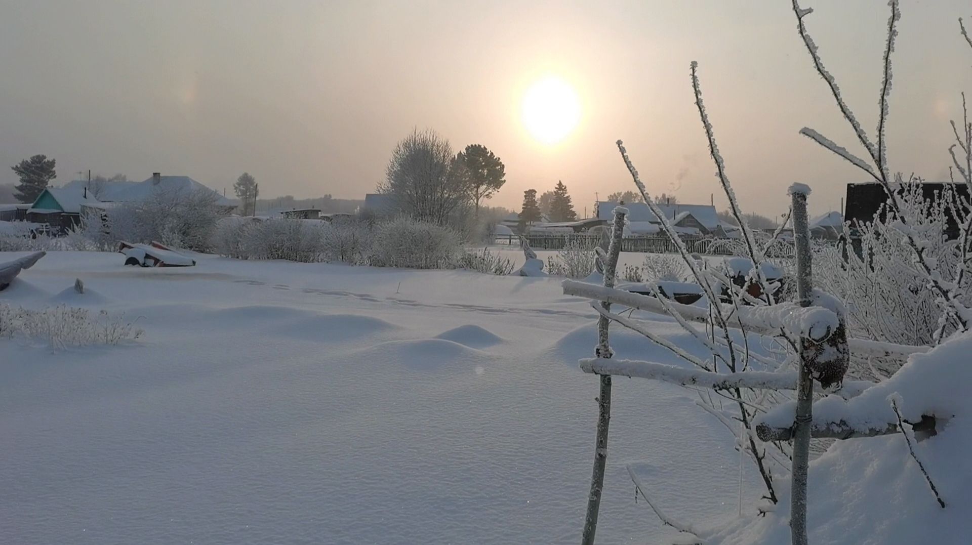Огород в деревне завалило снегом! Как получить большой урожай малины и выпечка.