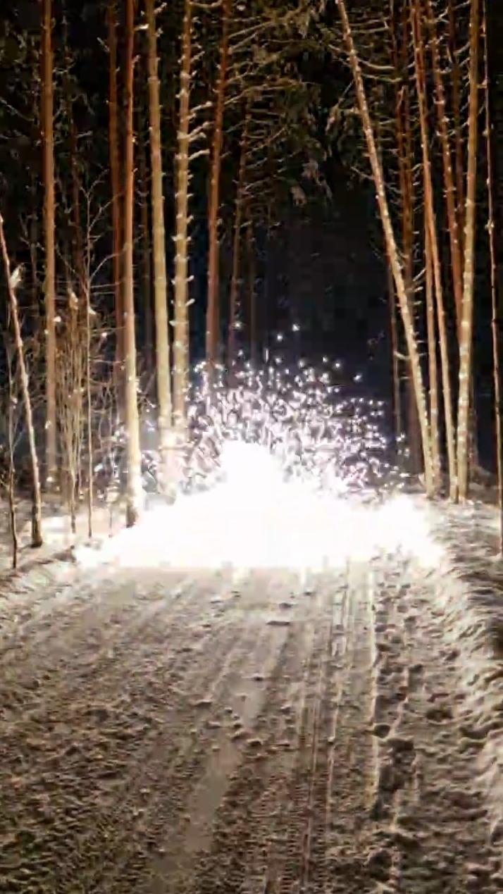 Шаровая молния в лесу ⚡🔥