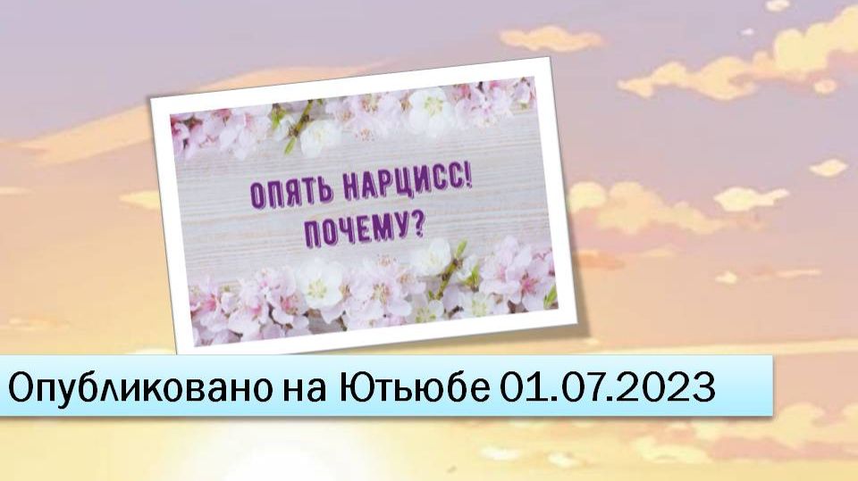 Опять нарцисс. Почему (фрагменты эфира 01.07.2023)