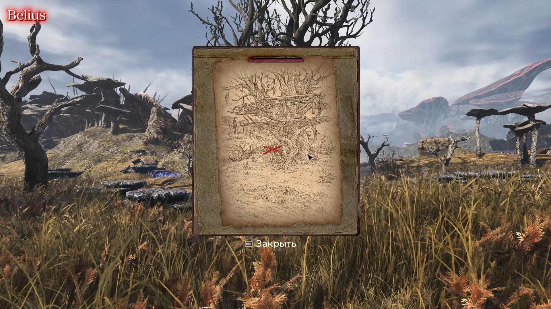 КАРТА СОКРОВИЩ ГРИБНАЯ РАВНИНА...  ГДЕ ИСКАТЬ? PIONER