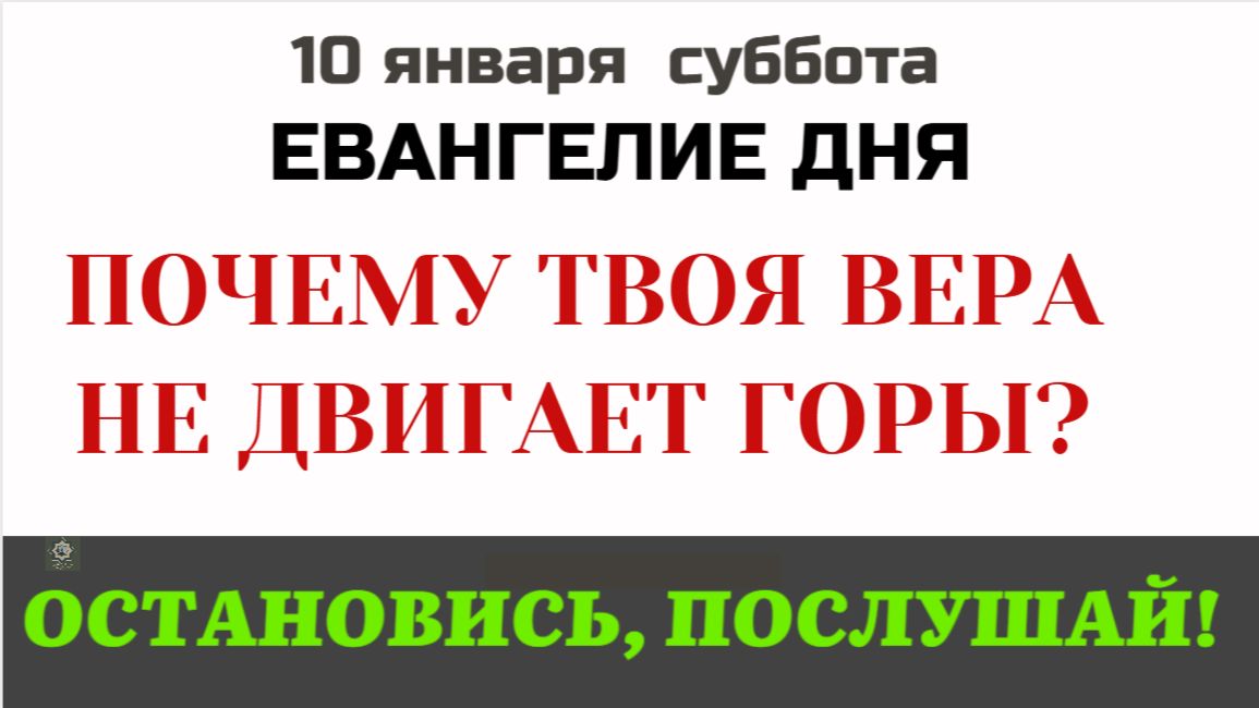 Прощать 7 раз в день. Невозможная заповедь или путь к свободе