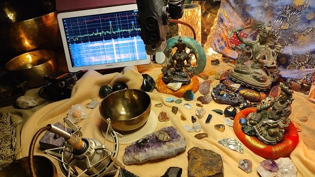 Ф14СМ  МИ 311 867ГЦ  504ГР