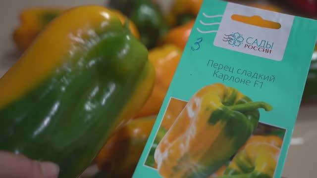 Перец.  Урожайные Сорта перца