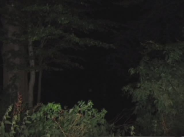 Уровень Закулисья -4