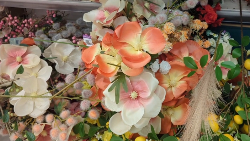 10-01-2026.Прогулка по Ашану Мега Парнас...Кора для Орхидей.