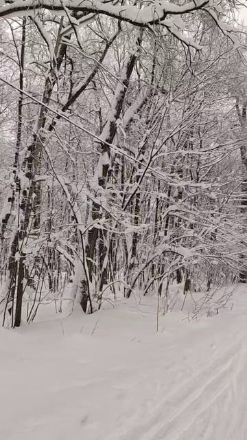 10 января 2026 Лыжи