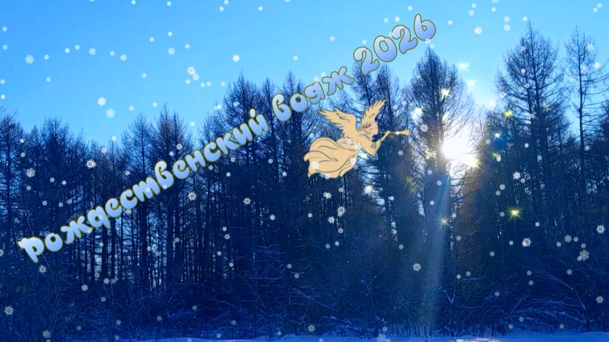 Рождественский  вояж 2026