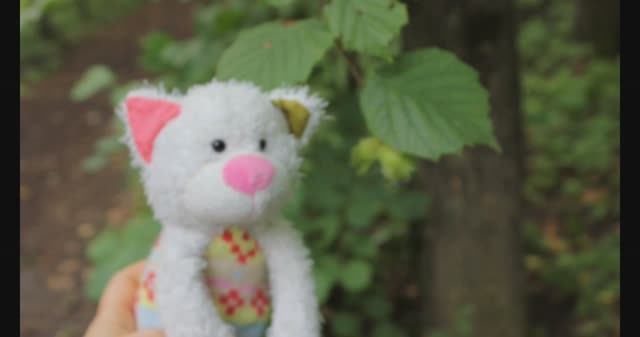 Котёнок и медведь гуляют в лесу и у реки. Игрушки гуляют на природе.