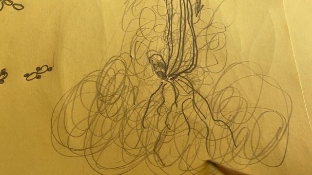 Симбионты жизни. Часть первая.