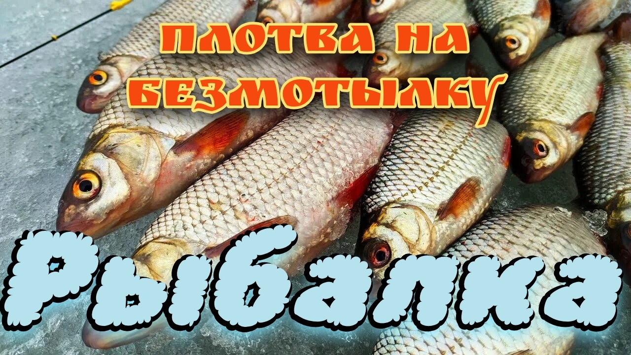 Оттачиваю и набиваю руку в безмотыльной ловле на реке Ока. Рыбалка в удовольствие.