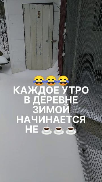 Каждое Утро В Деревне Зимой. Начинается Не С Чашечке Кофе.