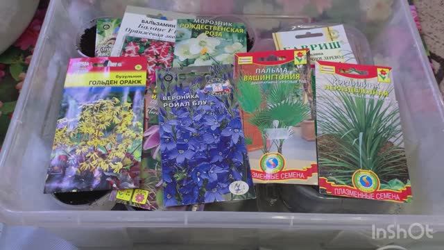 Сею многолетние цветы, январь.