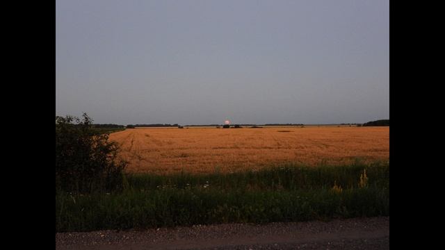 Лунное лето. Аномальная зона. Секретные позиции