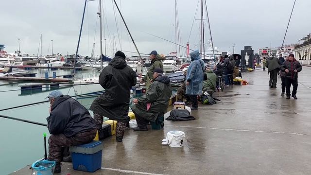 Зимняя рыбалка на Морском вокзале в Сочи.