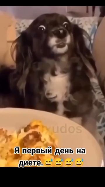 Я на диете!