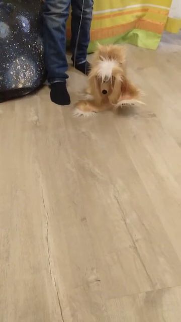 Марионетка помогает учить английский язык