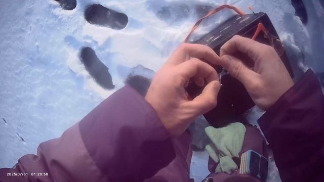 Рыбачил 2 часа🎣 Ловля Окуня на мормышку с пучком мотыля🪱 Пробурил несколько лунок.