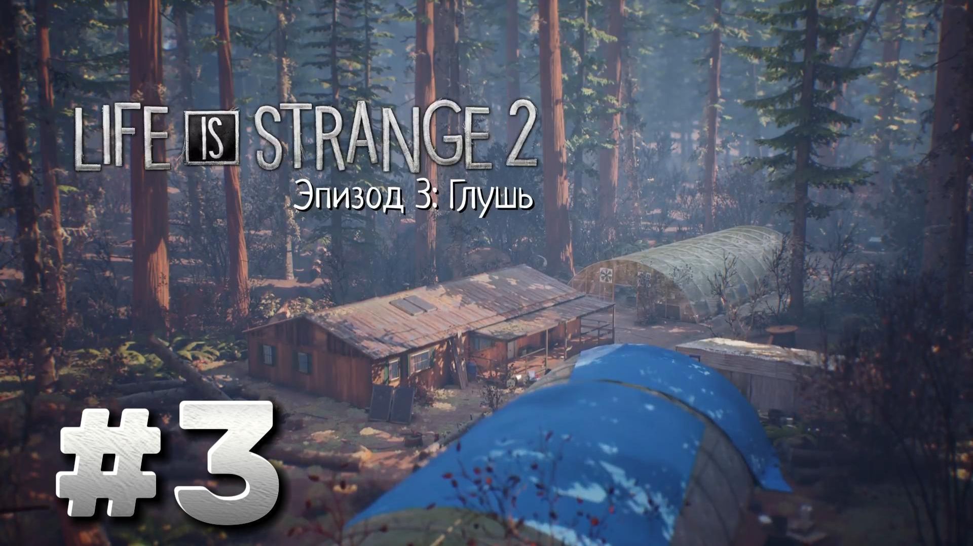 Life is Strange 2 ► Эпизод 3. Глушь ► Прохождение #4
