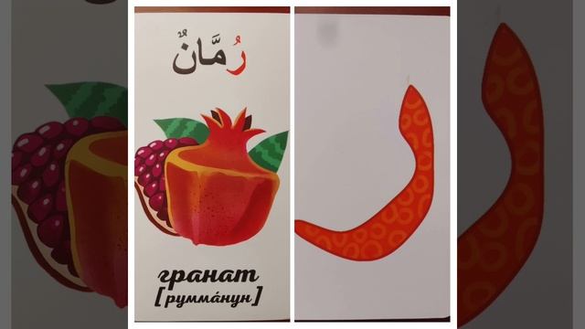 Арабский алфавит 8-14 буквы د-ص.