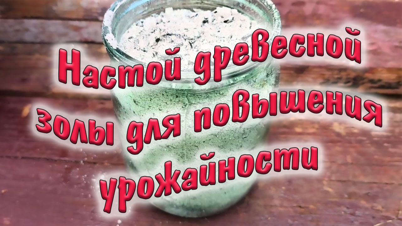 Настой древесной золы для повышения урожайности.