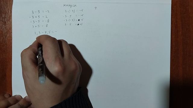 Глава 1 Урок 9 Минусы и скобки