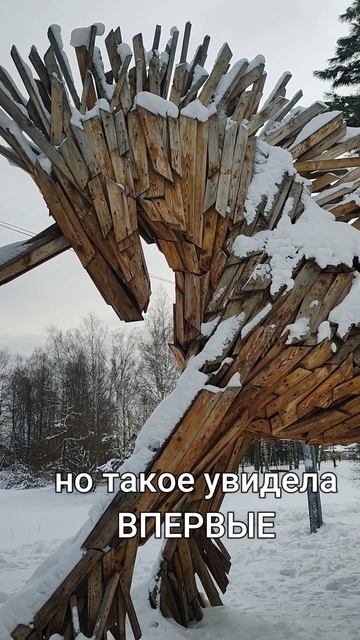 Выкса поражает своими экспонатами