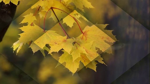 Есть в народе примета...