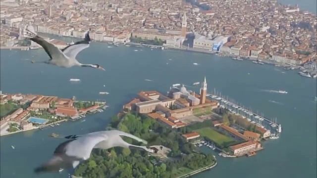 Проект Журавли