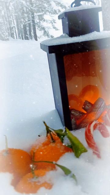 Новогодний натюрморт на снегу.