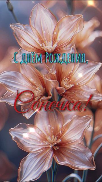 С днём рождения, Сонечка!