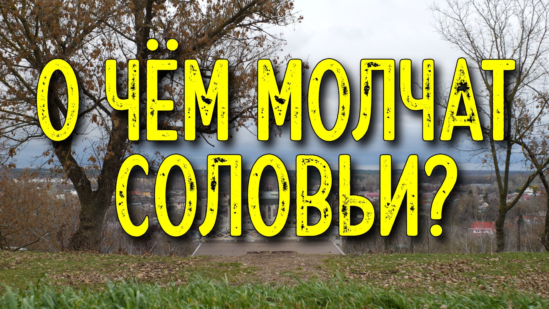 О чем молчат соловьи