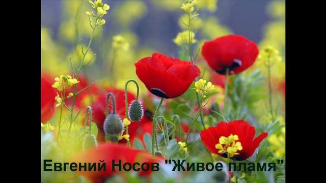 Евгений Носов "Живое пламя"