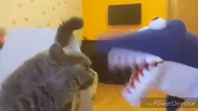 Акула в гостях у  девочки)