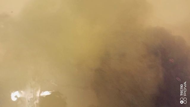 Тестируем денежную бомбочку😃