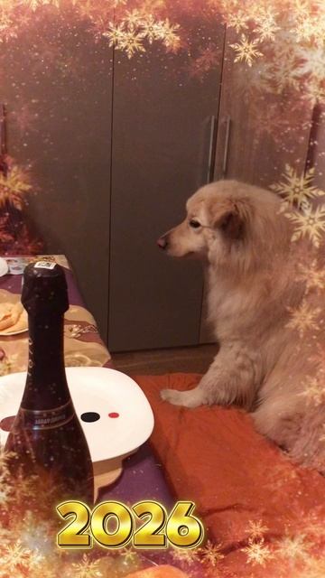 Пес Ричик 🎄 2026