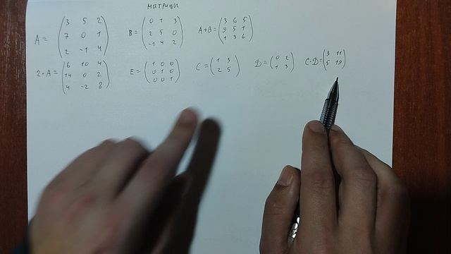 Глава 8 Урок 6 Матрицы