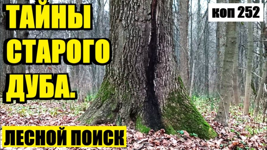 СОБИРАЮ ТО, ЧТО БЫЛО  ПОТЕРЯНО ОЧЕНЬ ДАВНО. коп 252