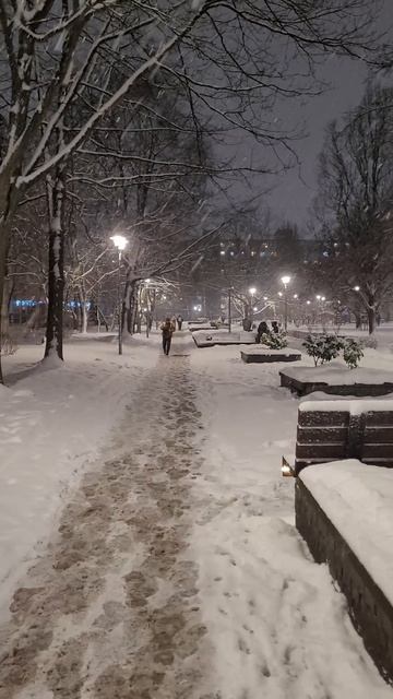 Вот такая погода в Калининграде!