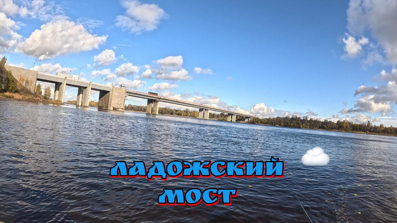 Ладожский мост!🎣